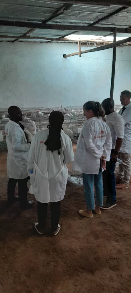 Kigali Rabbit Center