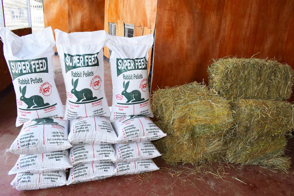 Kigali Rabbit Center