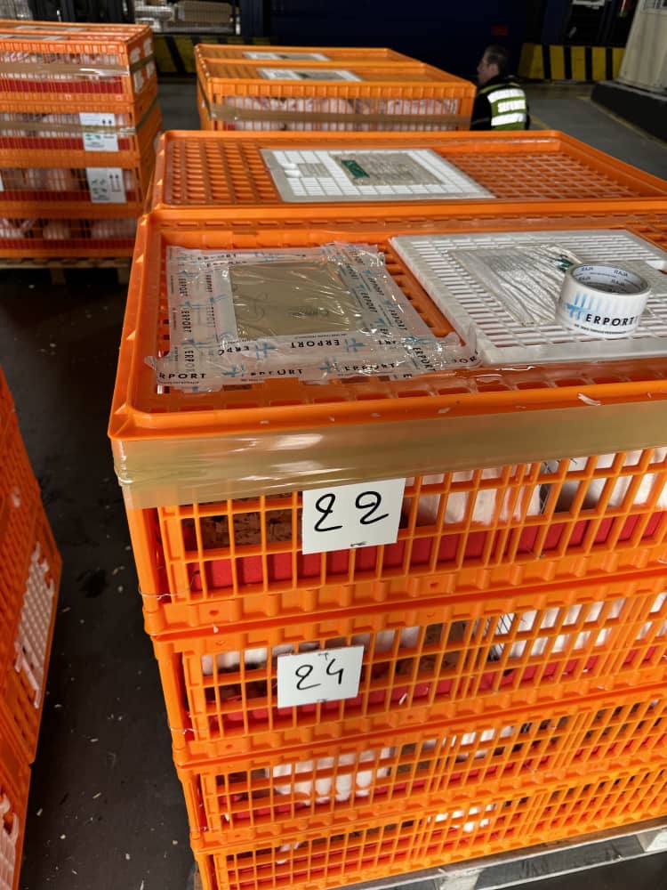 Kigali Rabbit Center