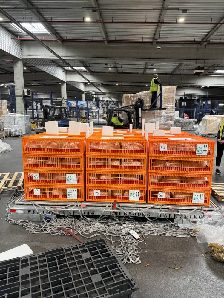 Kigali Rabbit Center