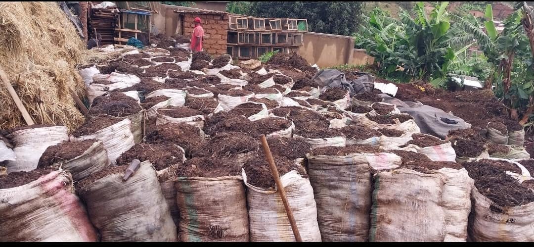 Kigali Rabbit Center