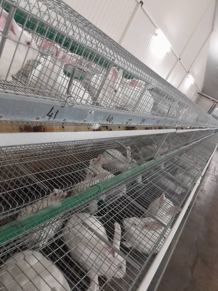 Kigali Rabbit Center