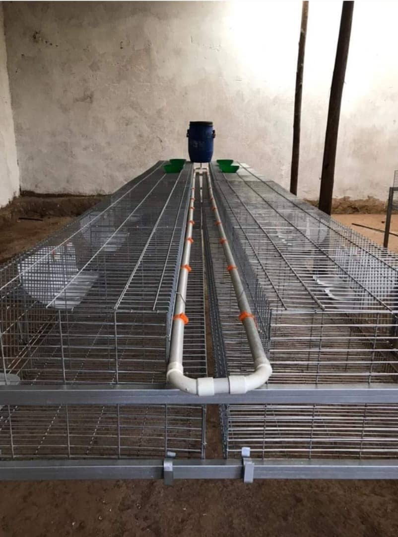 Kigali Rabbit Center